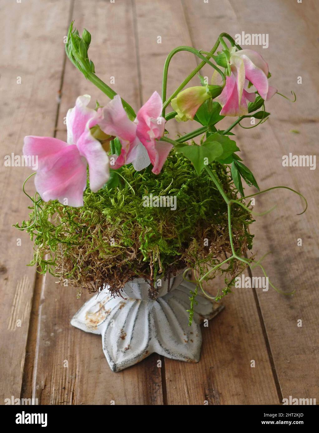 Moss green vase hi-res stock photography and images - Alamy