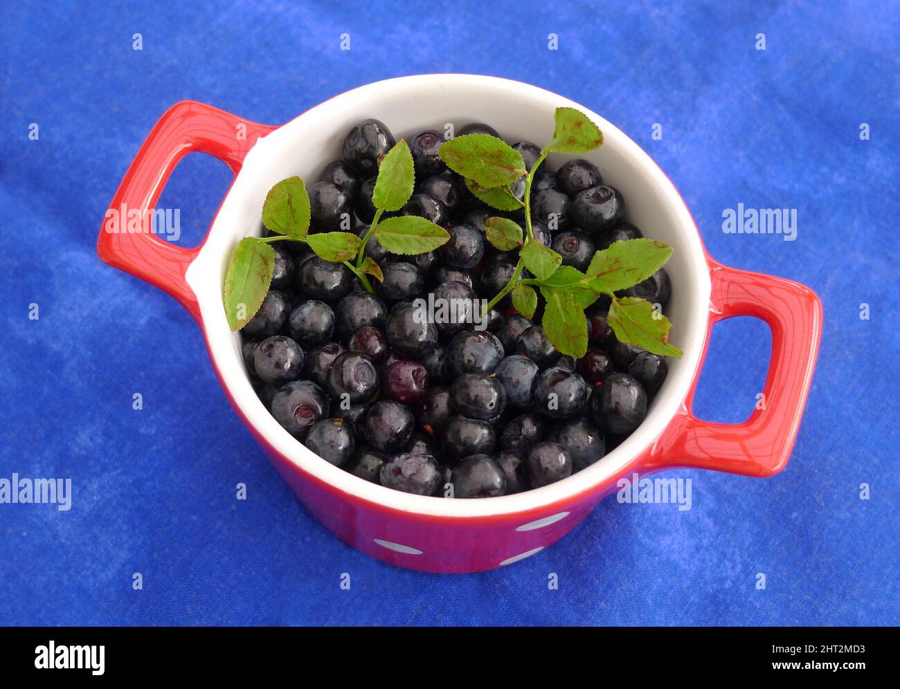 Blaa bar hi-res stock photography and images - Alamy