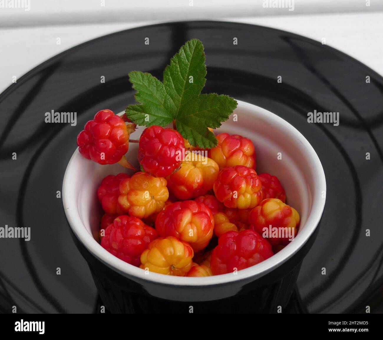 Cloudberry berries hi-res stock photography and images - Alamy