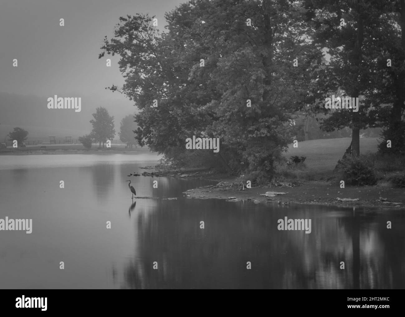 Grascale hi-res stock photography and images - Alamy