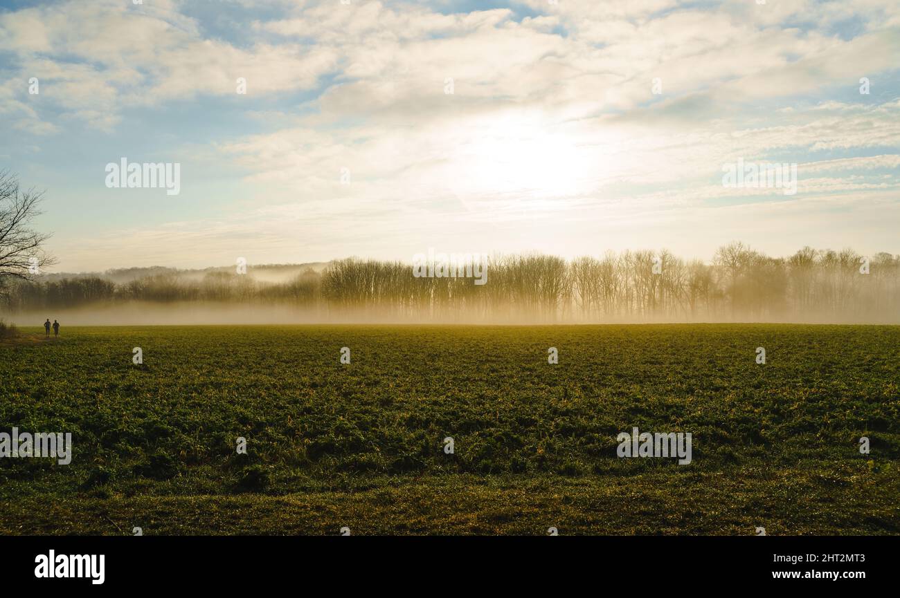 Beautiful landscape with a large green field and sun rays in the ...