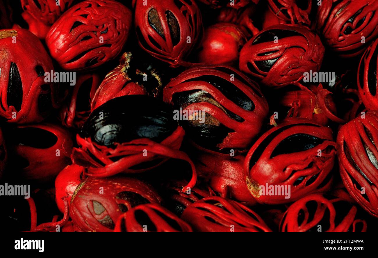 The fruit of the nutmeg tree is the only one in the world to give two ...