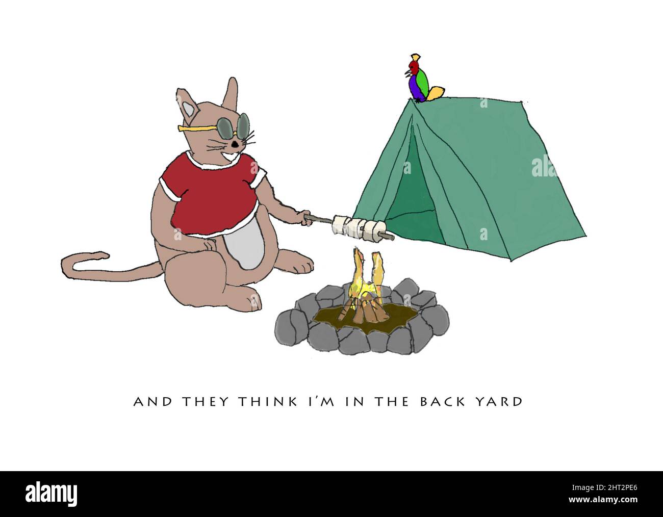 Cat camping cartoon hi-res stock photography and images - Alamy