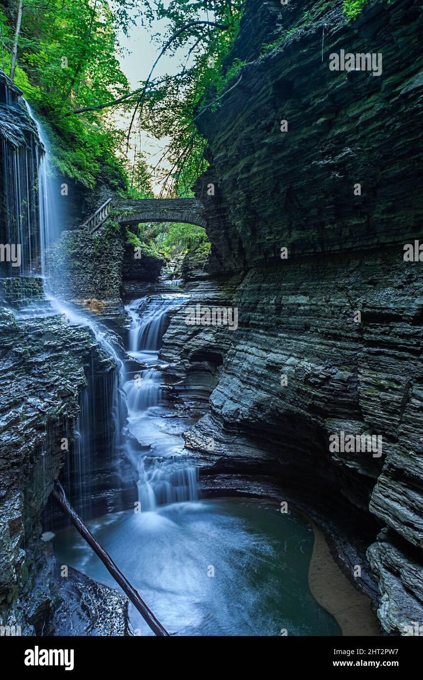 Beautiful vertical shot forest hi-res stock photography and images - Alamy