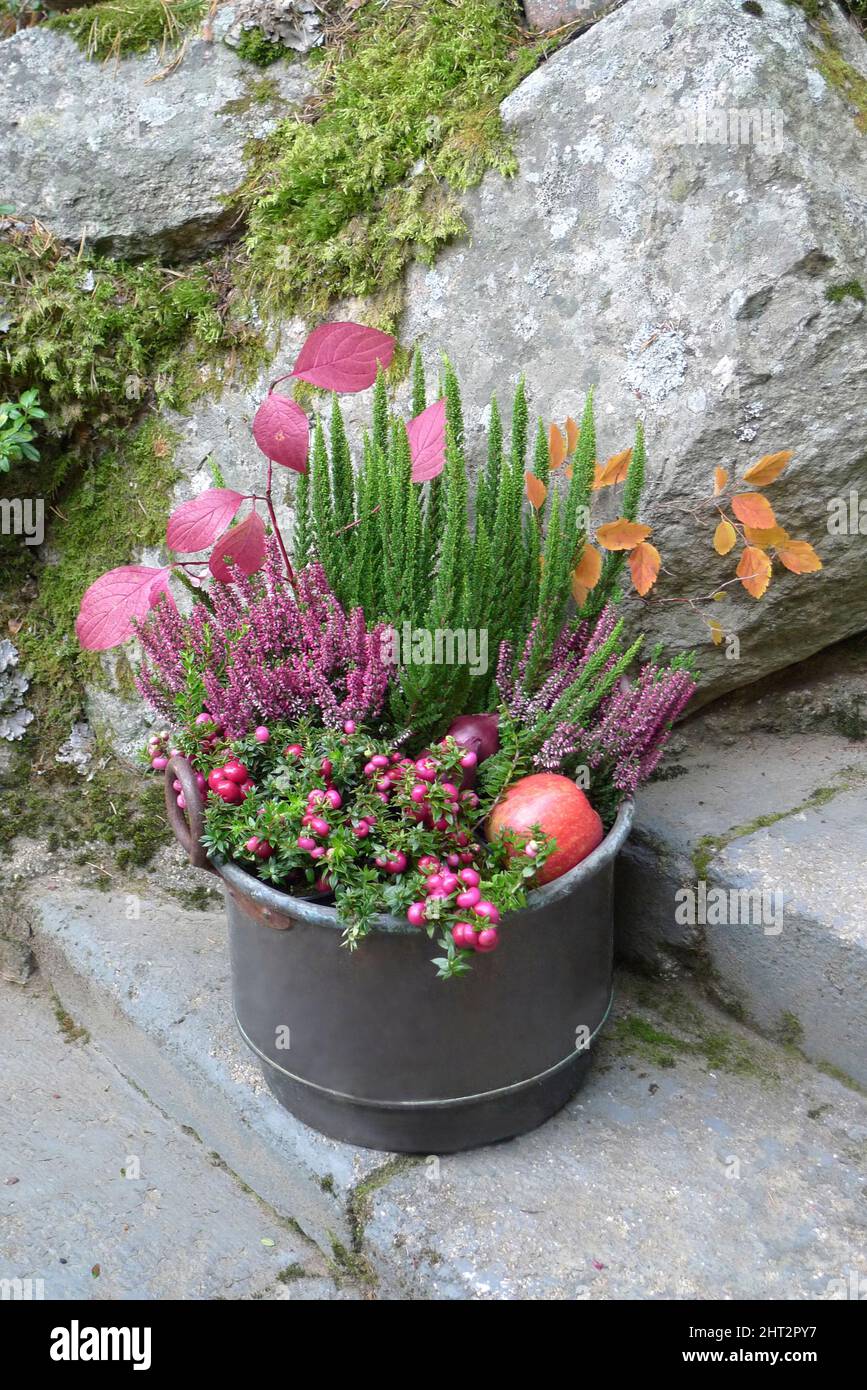 Flowers stairs hi-res stock photography and images - Alamy