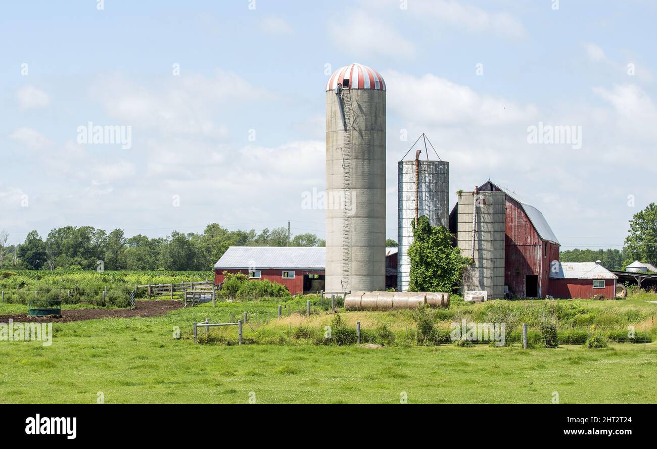 Closeup of an old farmhouse in a field Stock Photo - Alamy