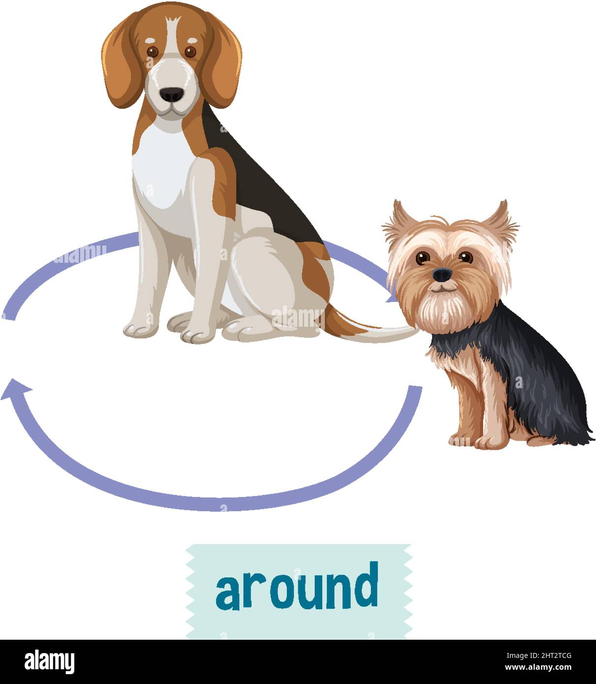 Preposition wordcard with word around and two dogs illustration Stock ...