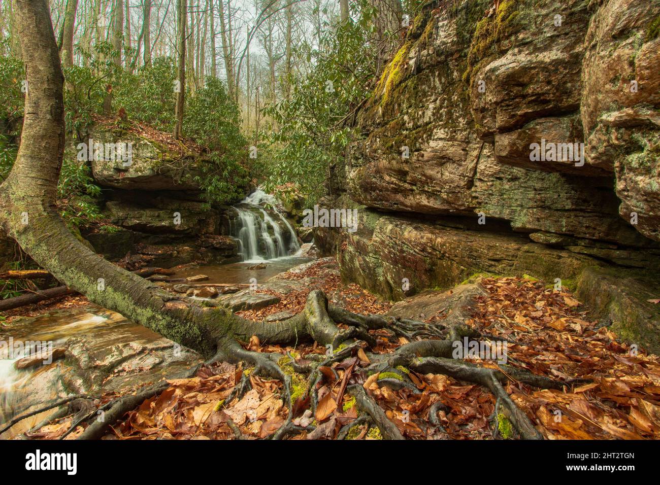 Blue hole falls and tennessee hi-res stock photography and images - Alamy
