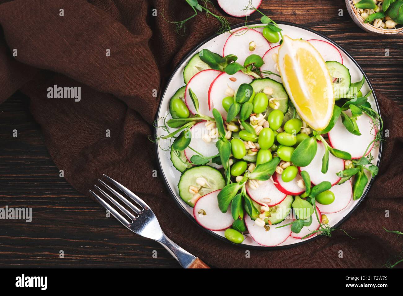 Fresh spring salad plate with radish, cucumber, green pea, sunflower ...