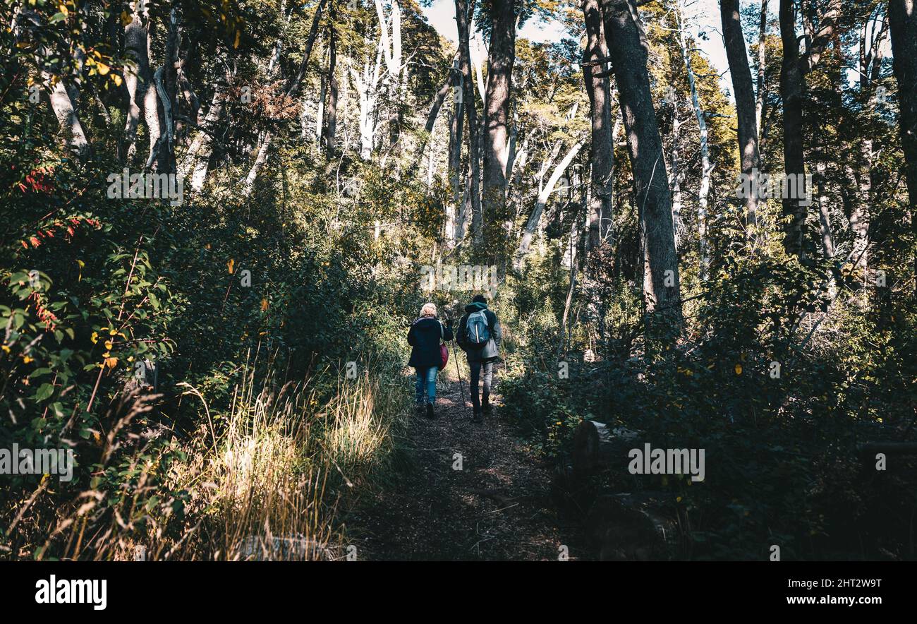 Back view of people walking in a park in San carlos de bariloche ...