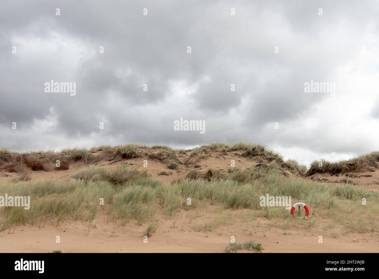 View of sand dunes, grass, and dead plants in an outdoor field Stock ...
