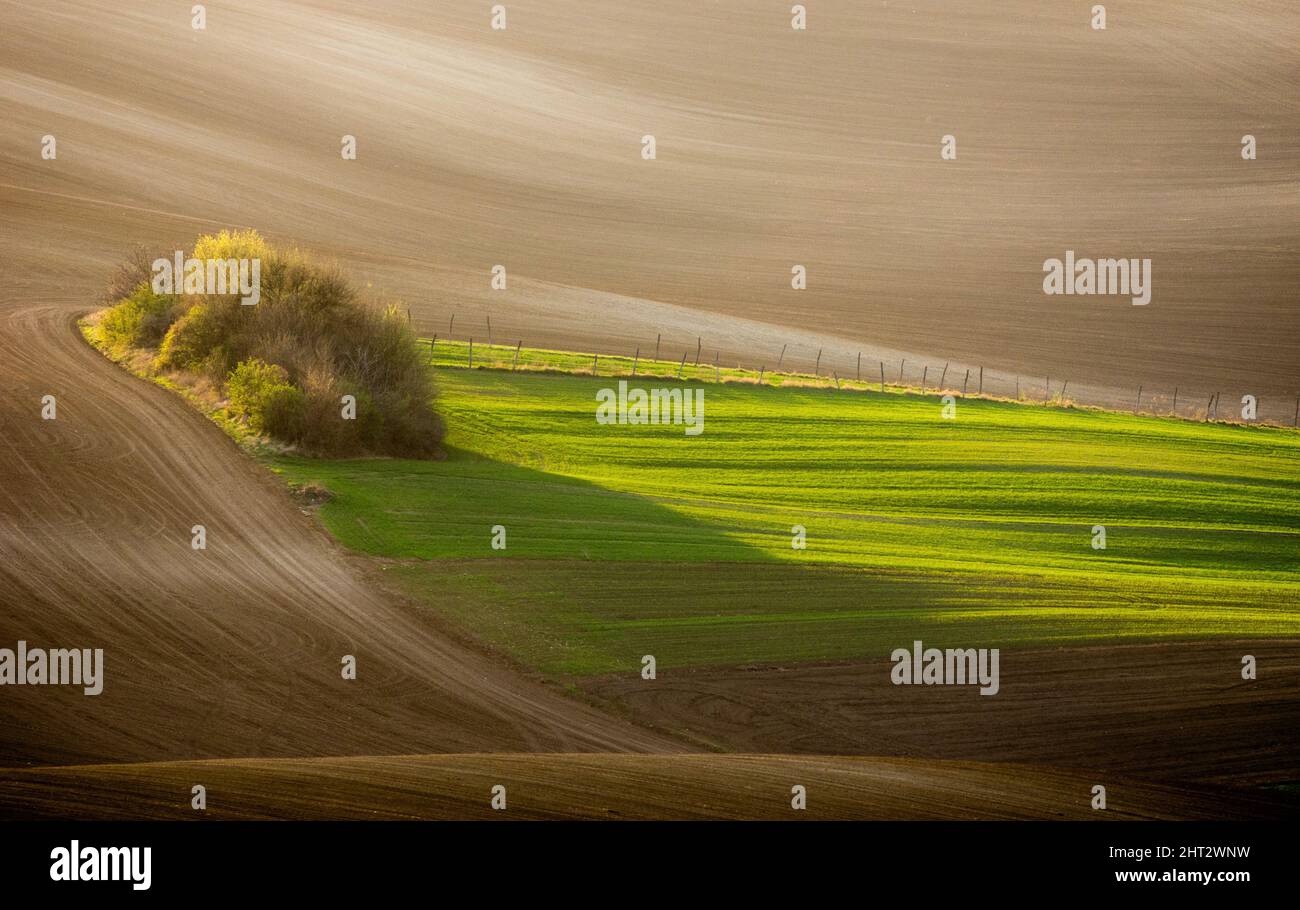 Aerial view of a bright green field Stock Photo - Alamy