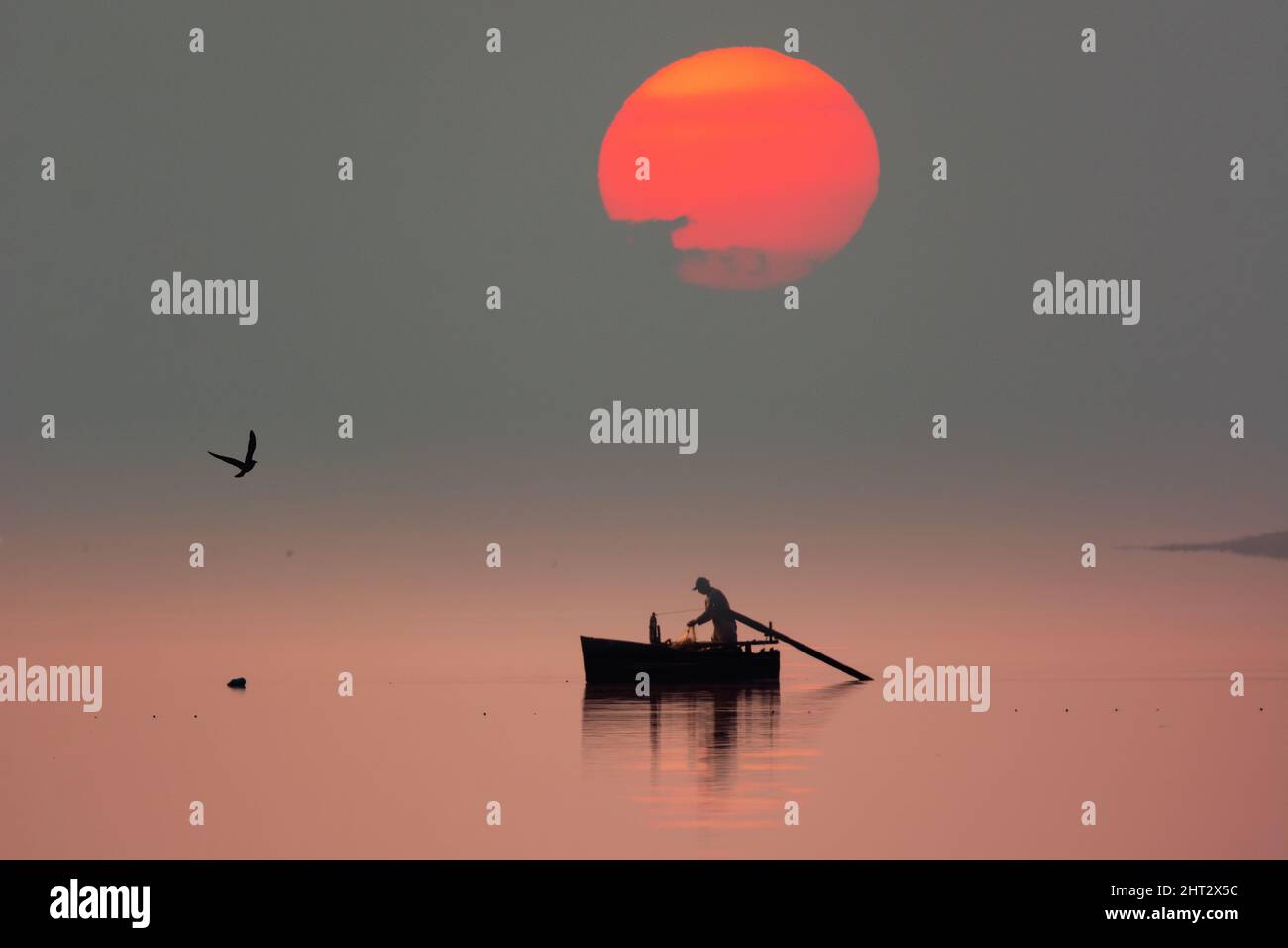 Person rowing a boat on Lake Kerkini covered in the fog during the ...
