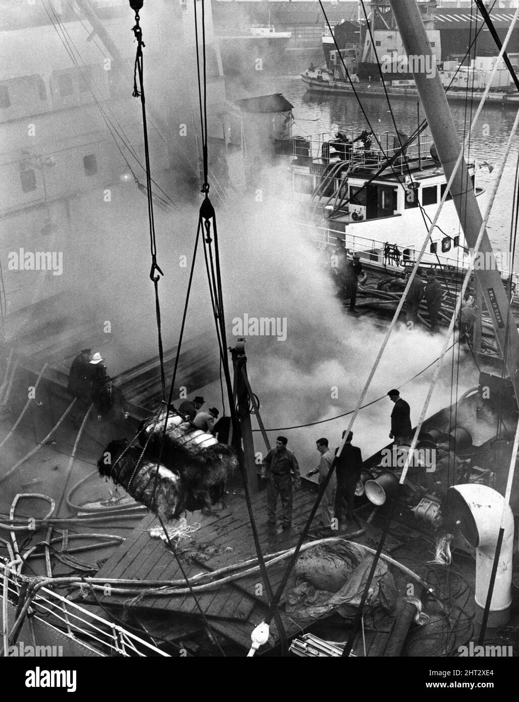 Ellerman lines Black and White Stock Photos & Images - Alamy