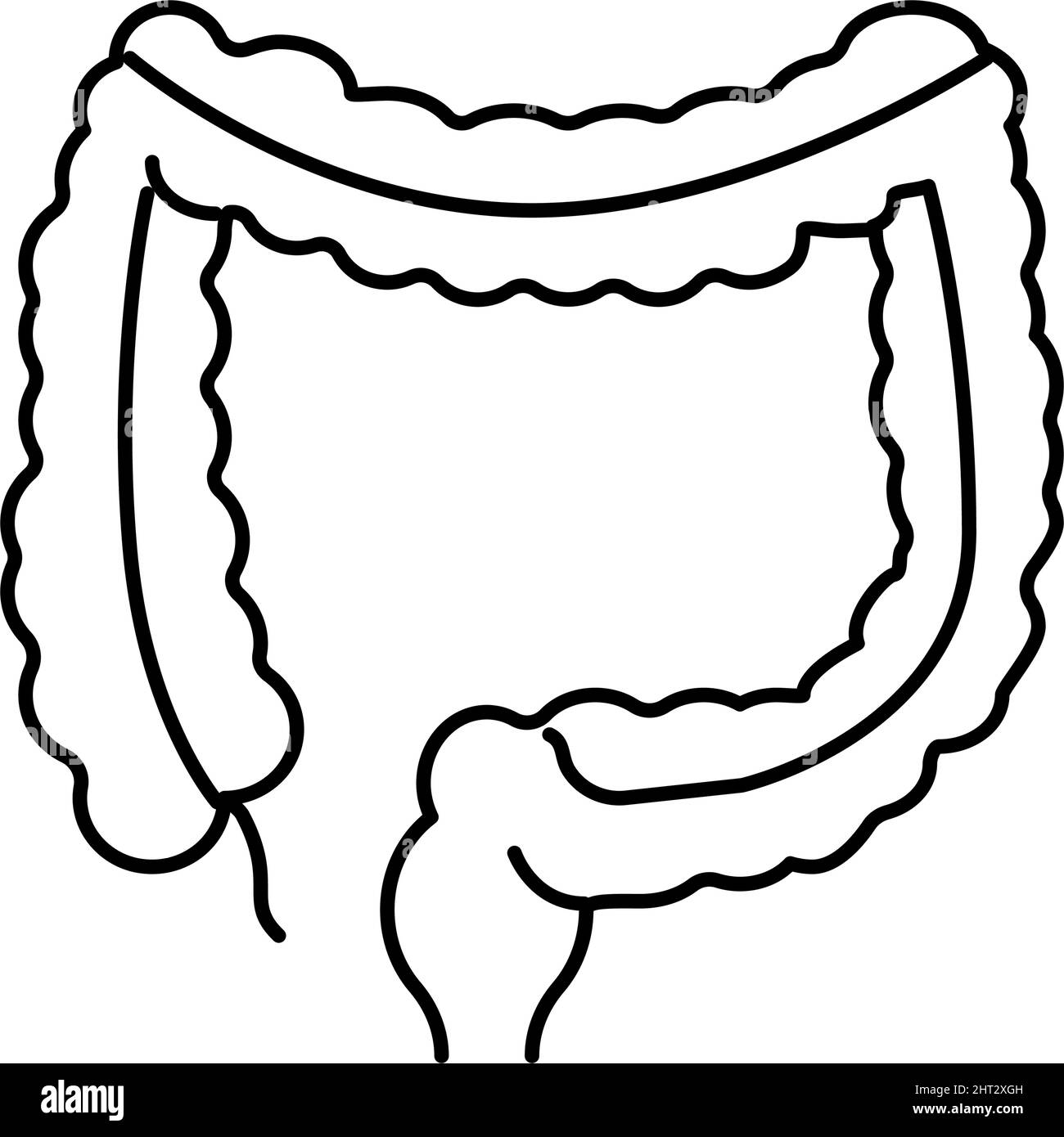 colon human organ line icon vector illustration Stock Vector Image ...