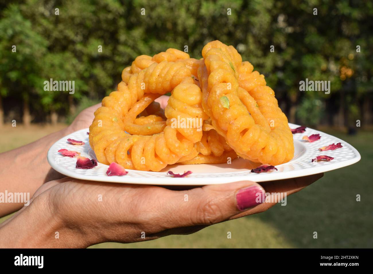 Female holding Imarti sweets, popular sweet dish from India. Circular ...