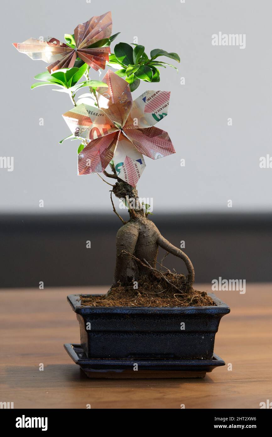 Vertical shot of a bonsai tree with paper flowers on a table Stock ...