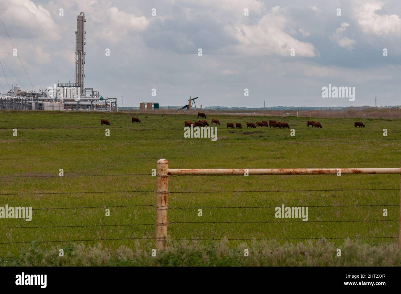 Oklahoma fields at daytime Stock Photo - Alamy