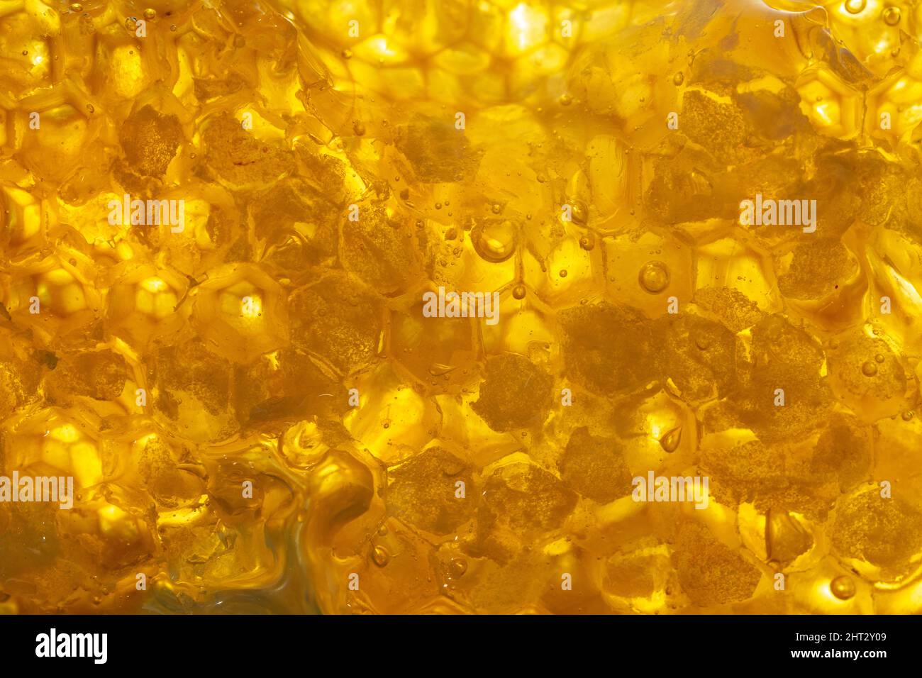 Honey in a comb taken out of the bee hive. Comb honey contains propolis ...