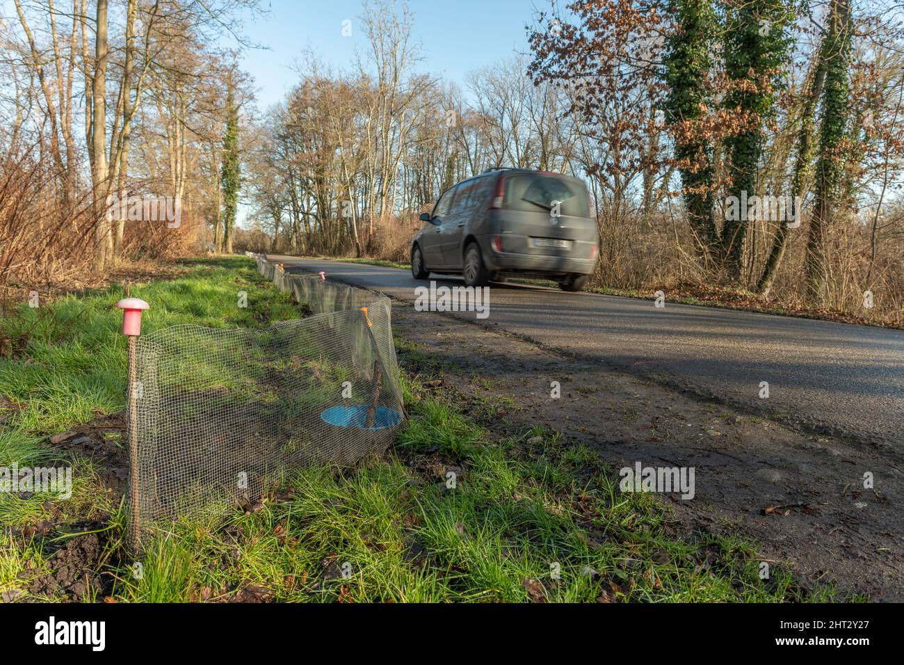 Fence on a road to protect batrachians, frogs and toads during their ...