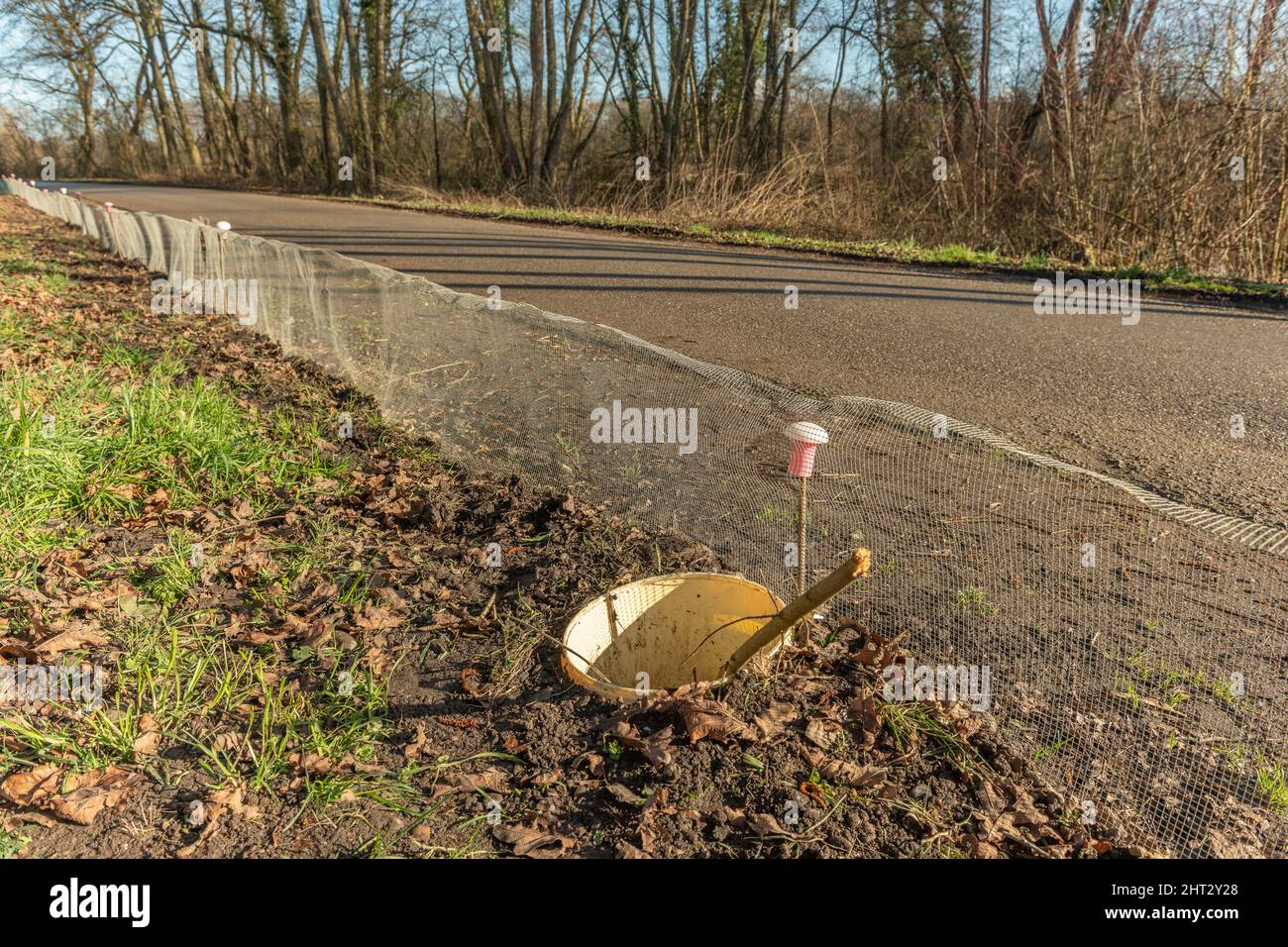 Fence on a road to protect batrachians, frogs and toads during their ...
