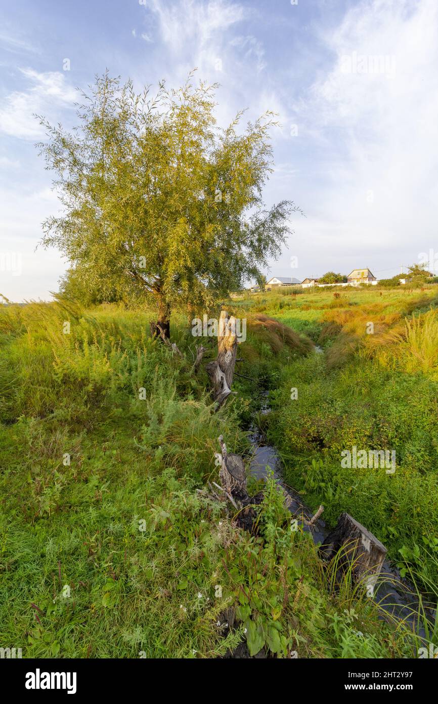 Lowland river hi-res stock photography and images - Alamy