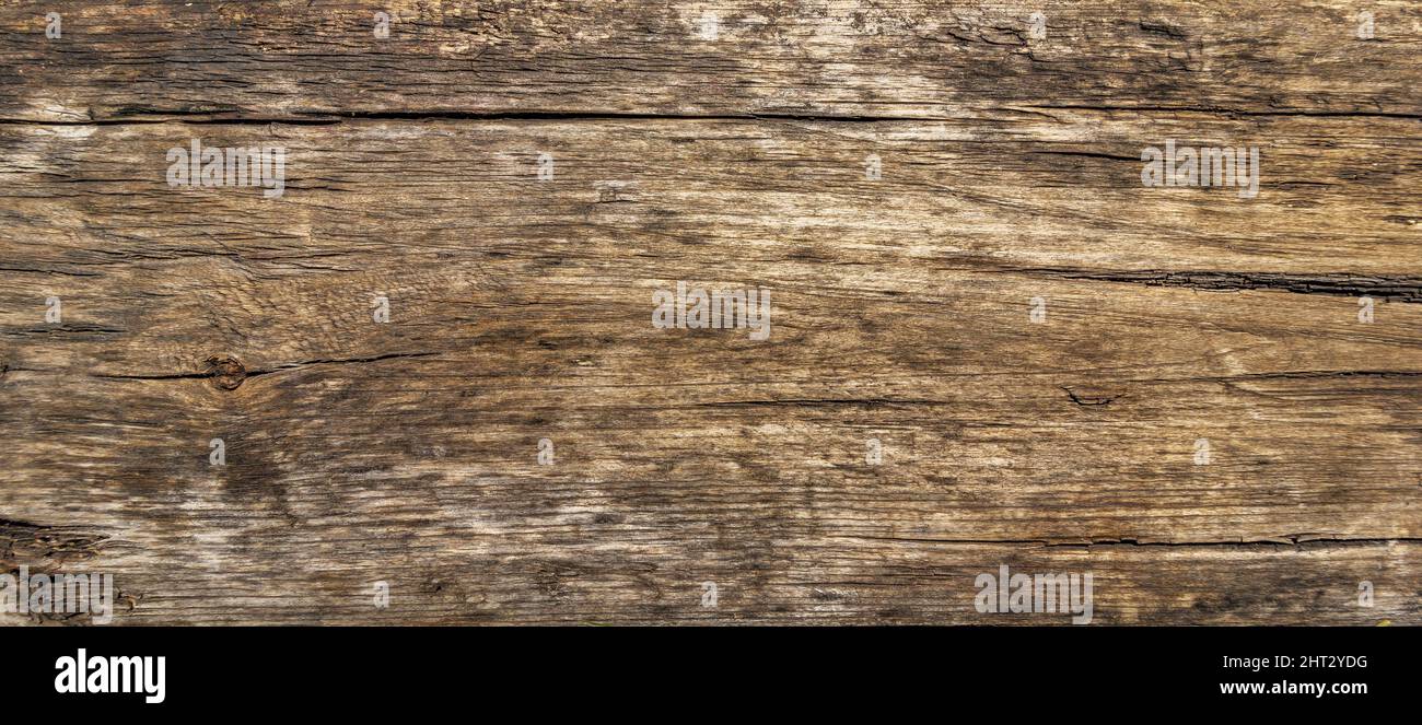 The background looks like an old cracked board with splinters and ...
