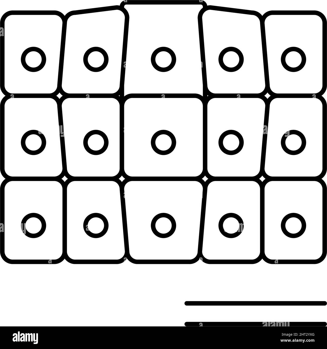 Epithelial tissue Black and White Stock Photos & Images - Alamy