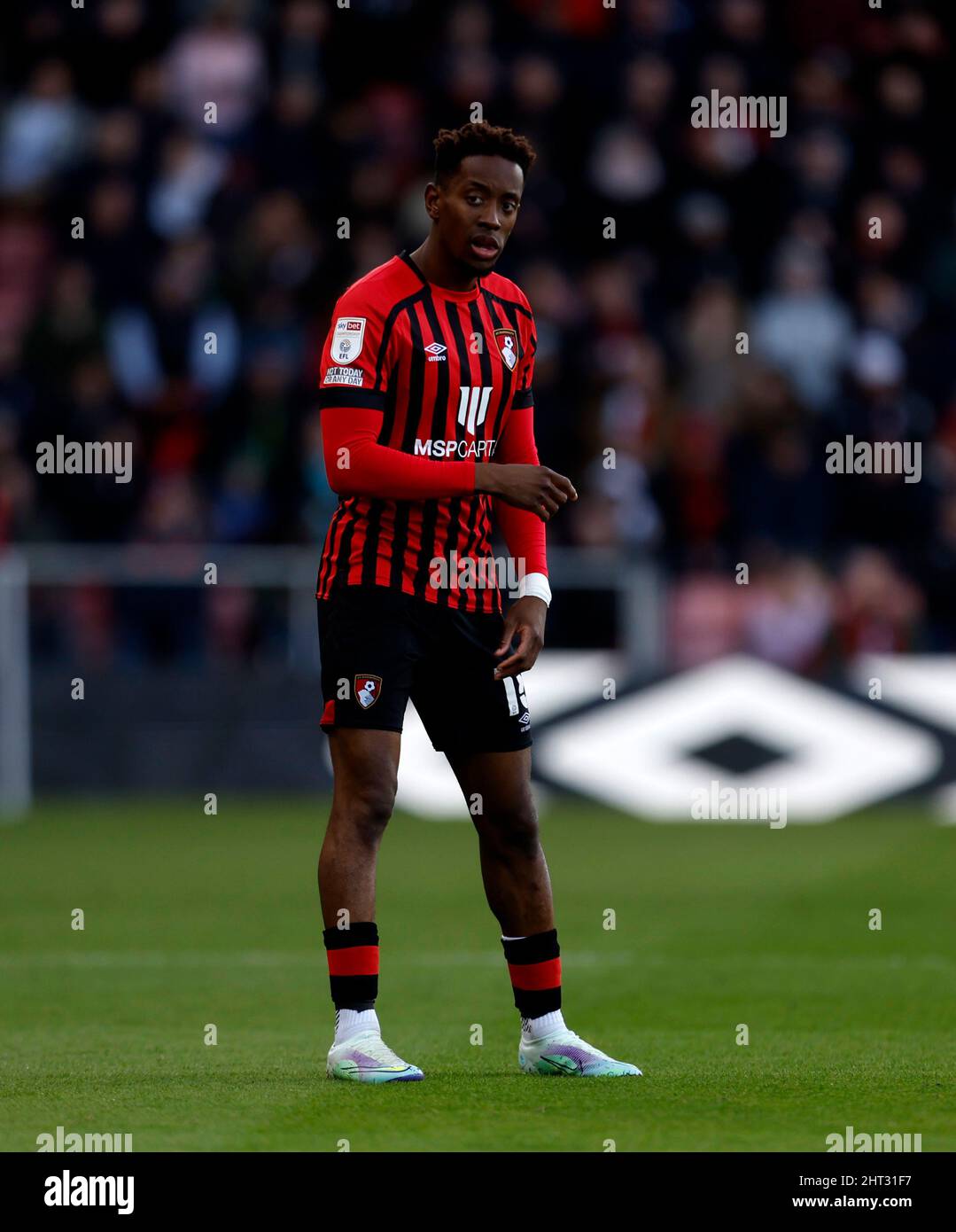Bournemouth's Jamal Lowe in action during the Sky Bet Championship ...