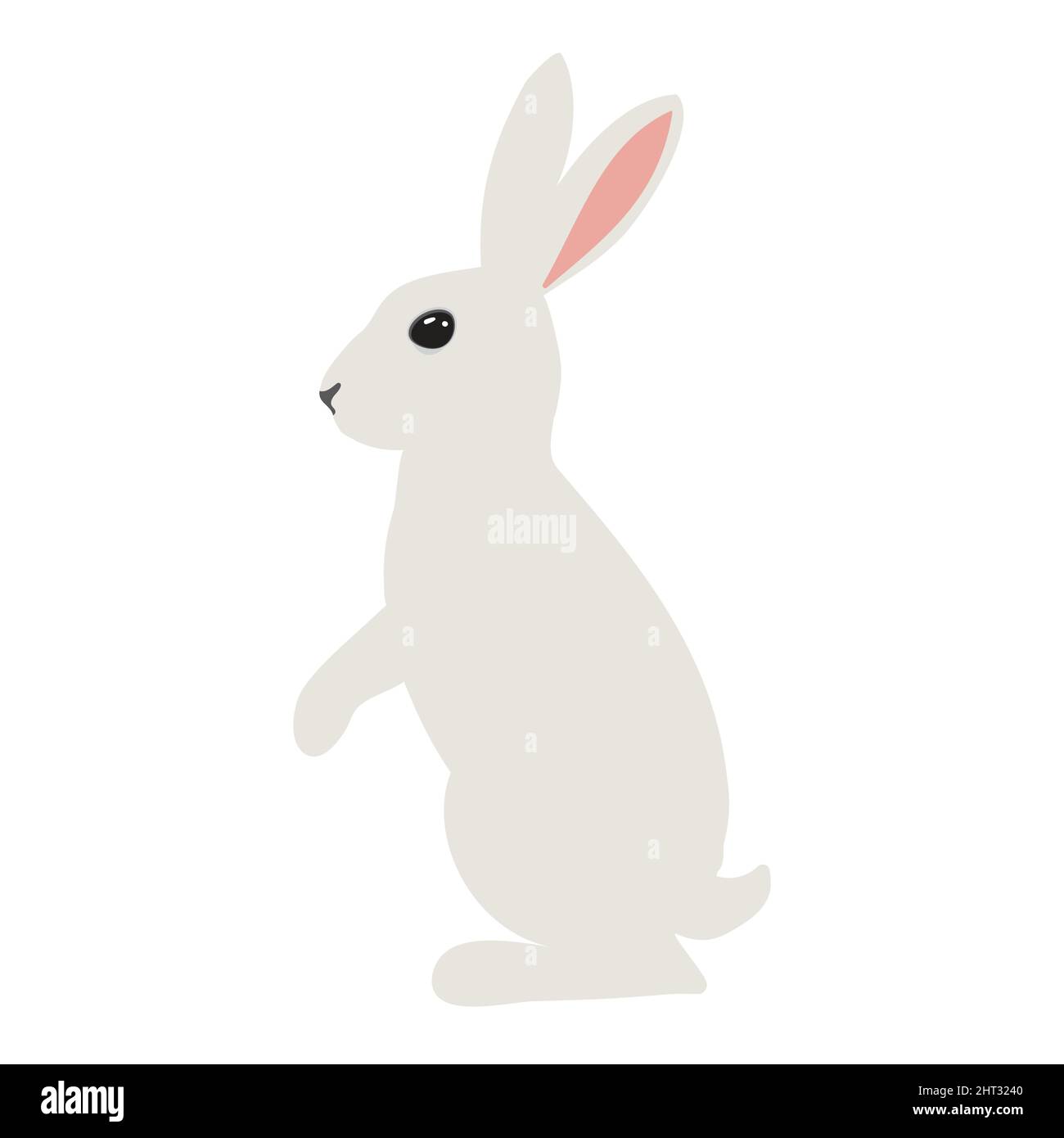 Real hare Stock Vector Images - Alamy