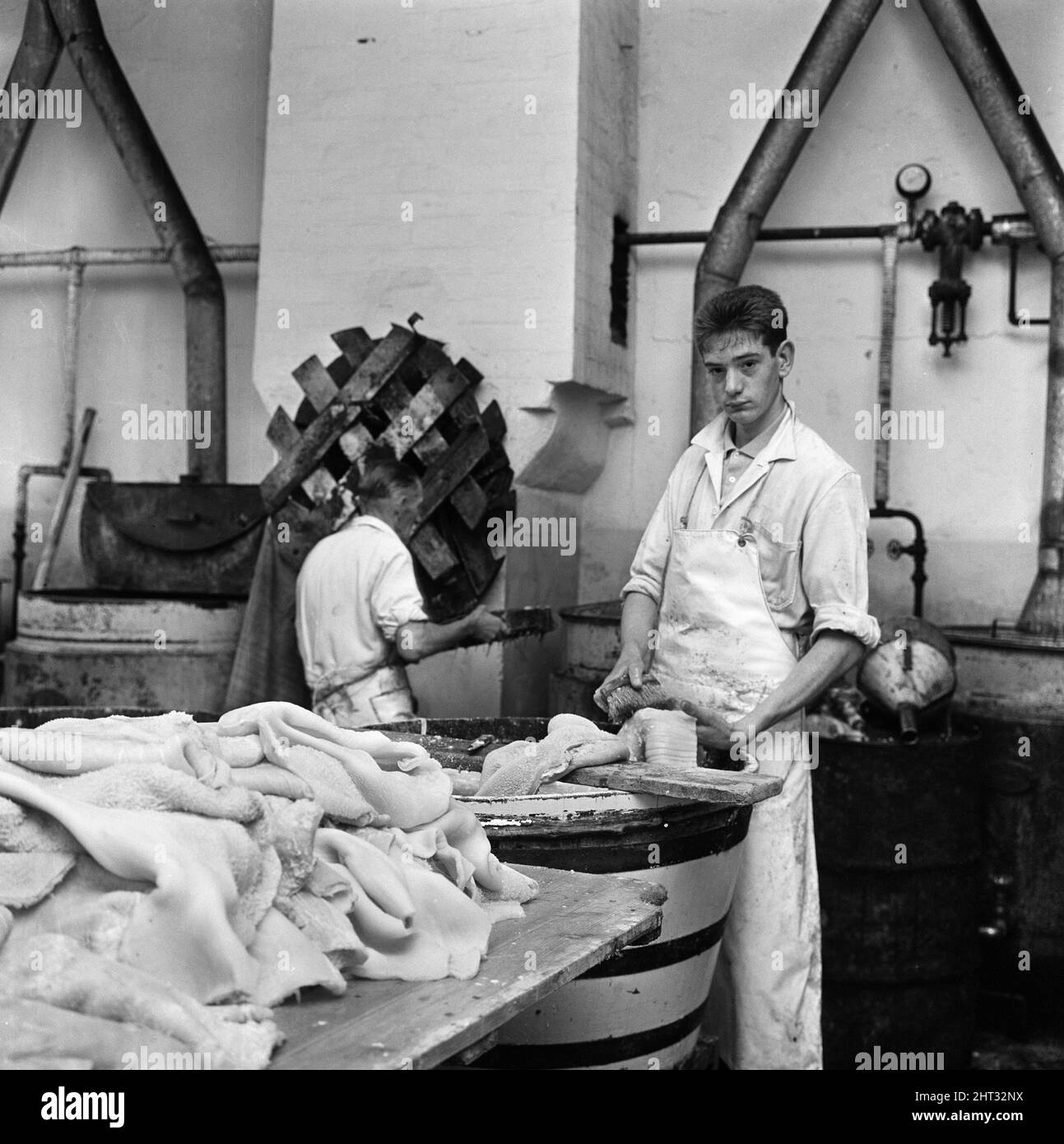 Scenes inside Robinson's Tripe factory in Hull. Thomas Bache cleans the ...