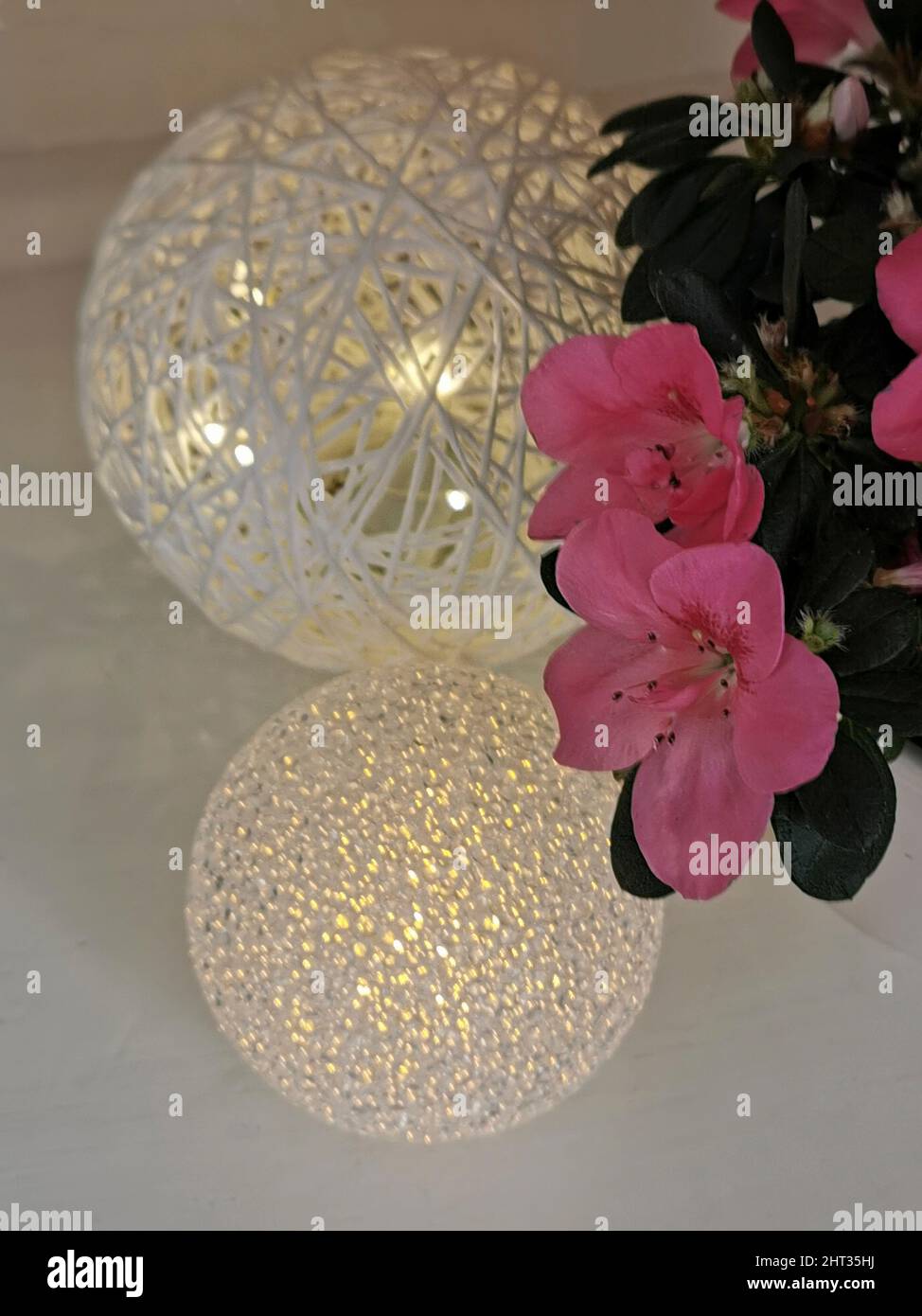 Pink azalea by balls of light Stock Photo - Alamy