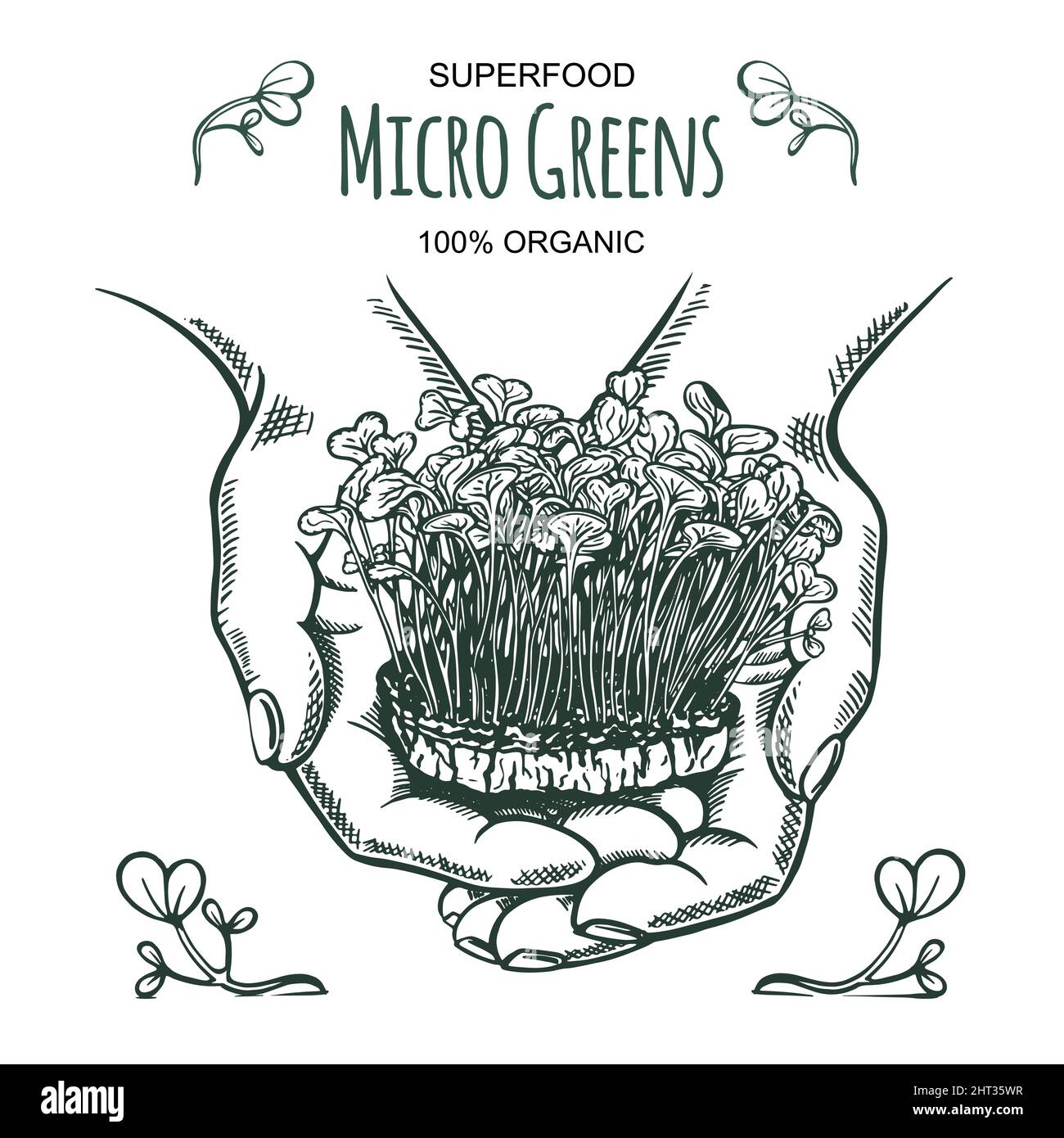 Super food salad Stock Vector Images - Alamy