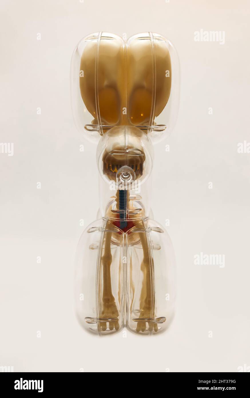 Closeup of a balloon dog skeleton plastic figure on white background ...