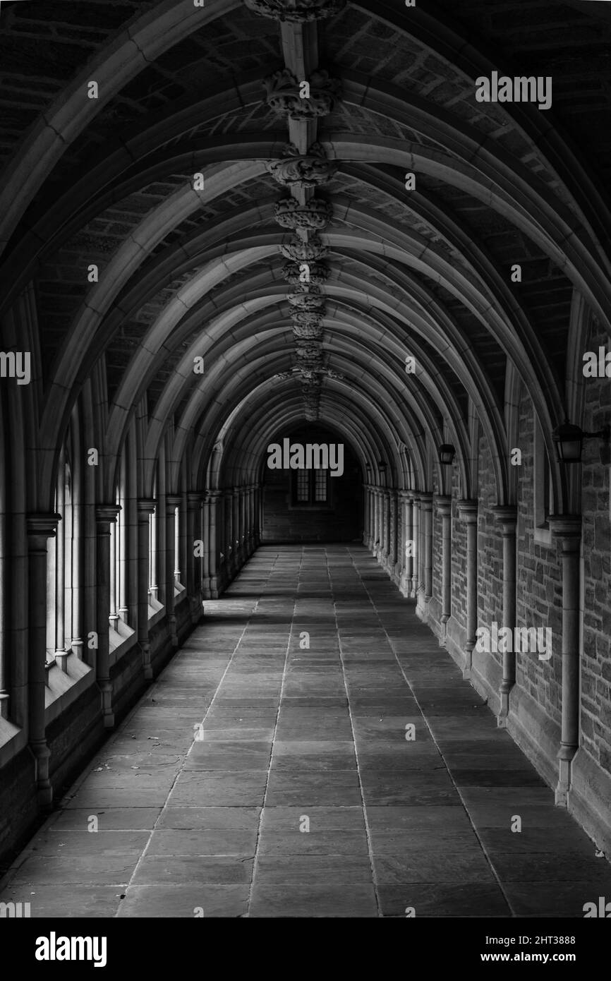 Black and white photograph of Princeton University's archways - part of ...