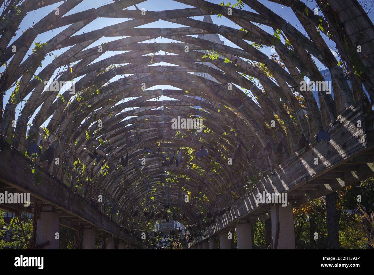 Arch archway walkway arched tunnel walkway hi-res stock photography and ...