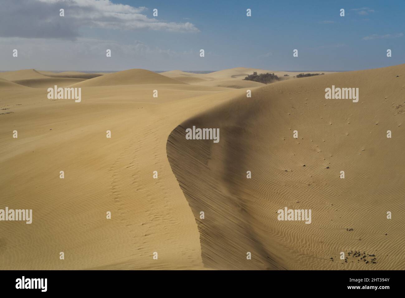 Tranquil scenery of an empty desert in daylight Stock Photo - Alamy