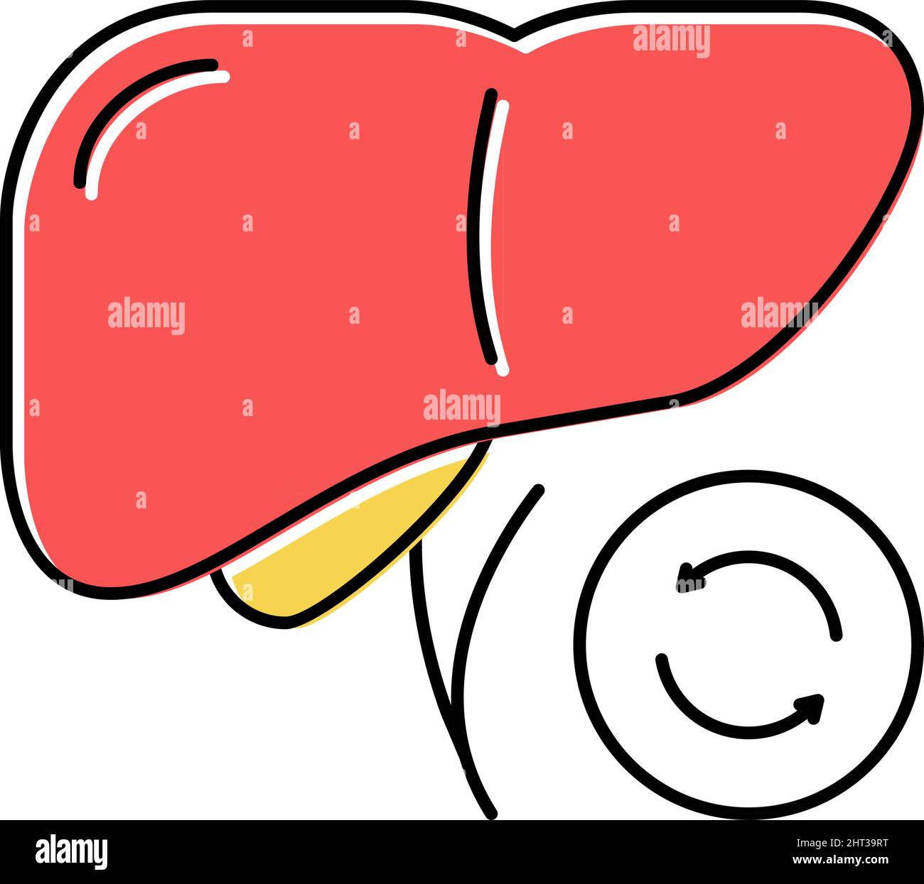 Liver transplant surgery Cut Out Stock Images & Pictures - Alamy