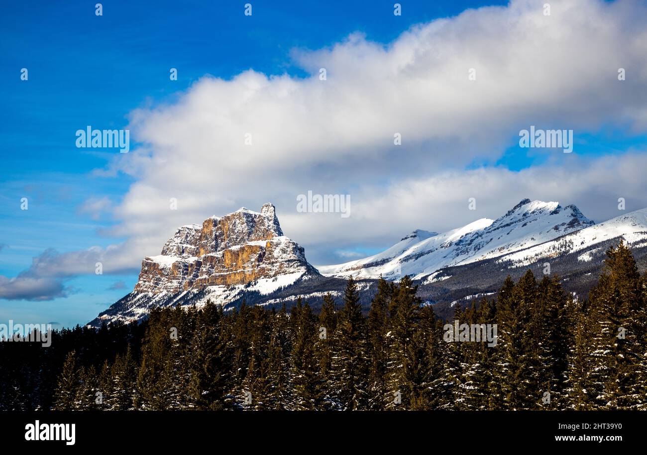 Tranquil scenery of a majestic snowy mountain in the woods in daylight ...