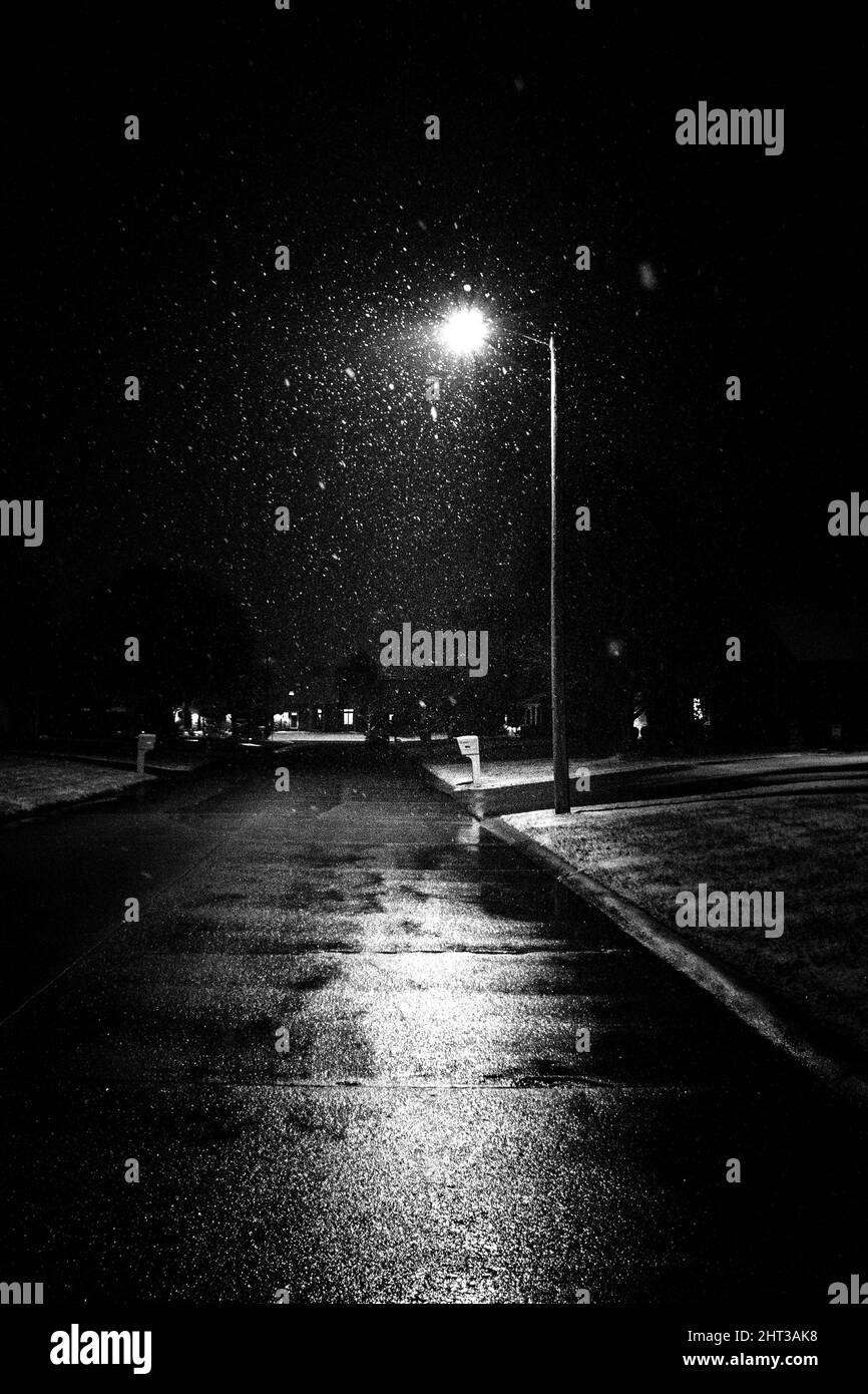 Grayscale vertical shot of snow falling in the nighttime in the outside ...
