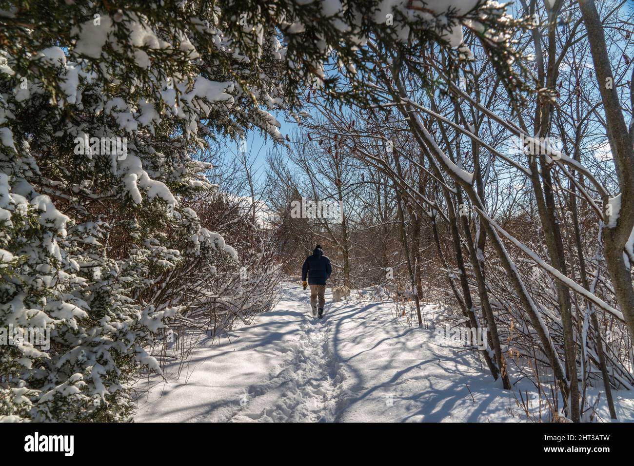 In the morning on a frosty, sunny day, a man took his pet for a walk ...