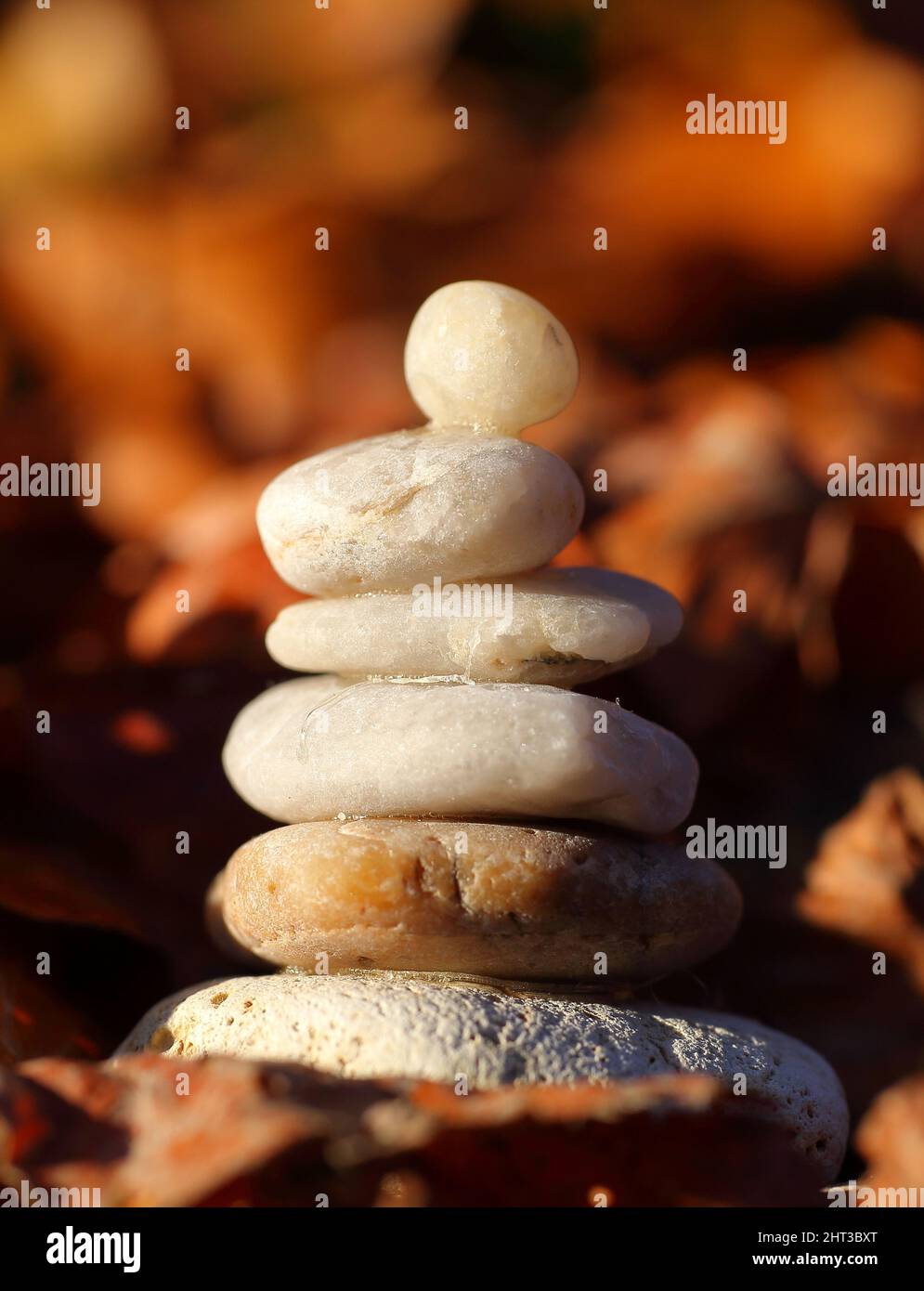 Stones sand in clear hi-res stock photography and images - Alamy