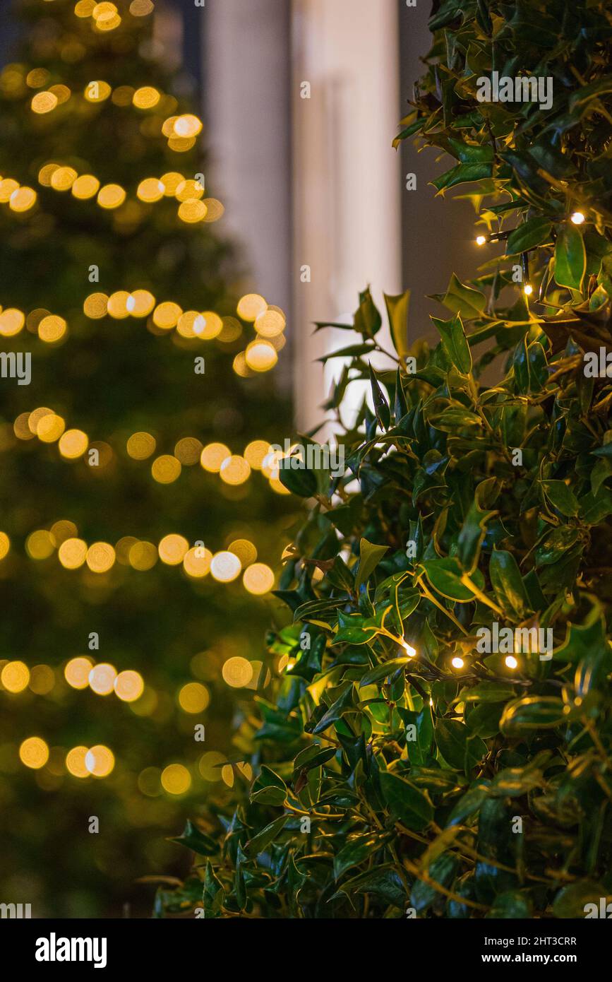 Vertical shot of Christmas tree with series lights Stock Photo - Alamy
