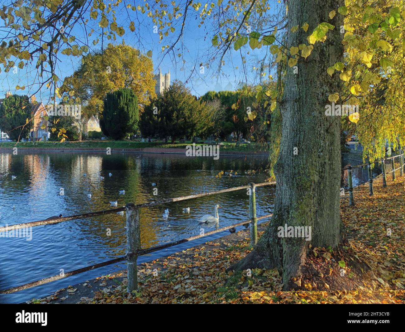 Devizes Wiltshire UK The Crammer Pond Stock Photo - Alamy