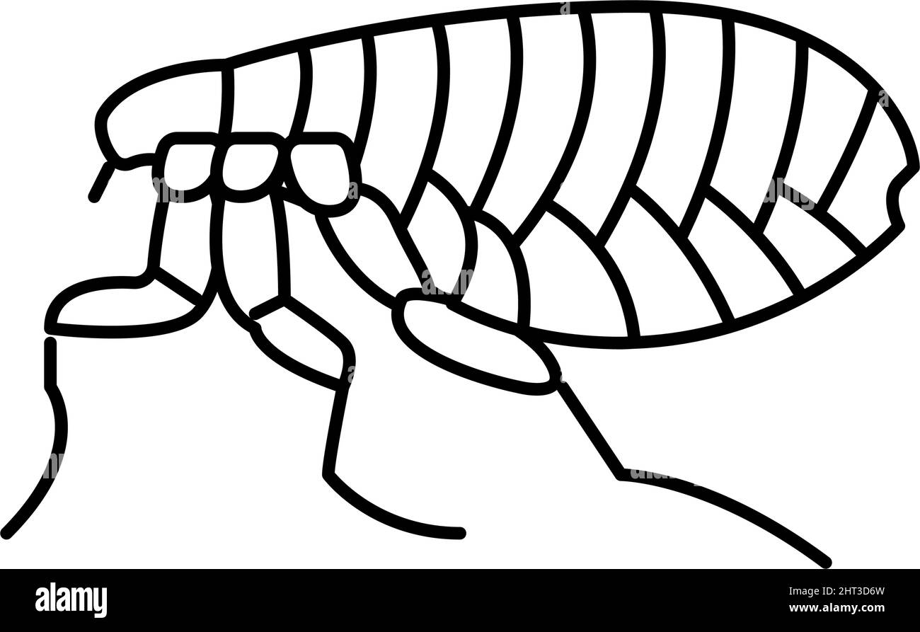 tick insect line icon vector illustration Stock Vector Image & Art - Alamy