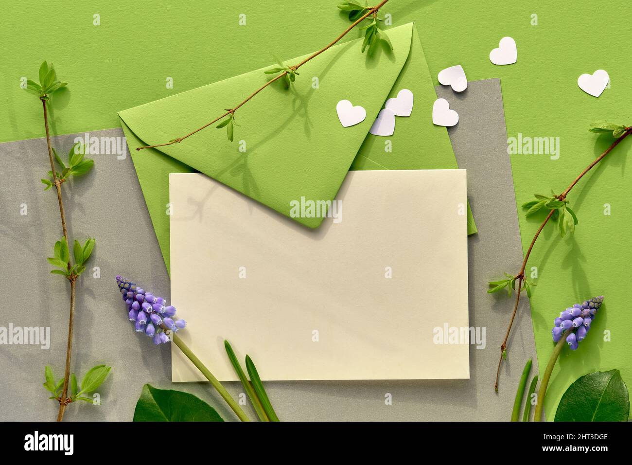 Spring background in shades of green. Paper envelope with blue grape ...