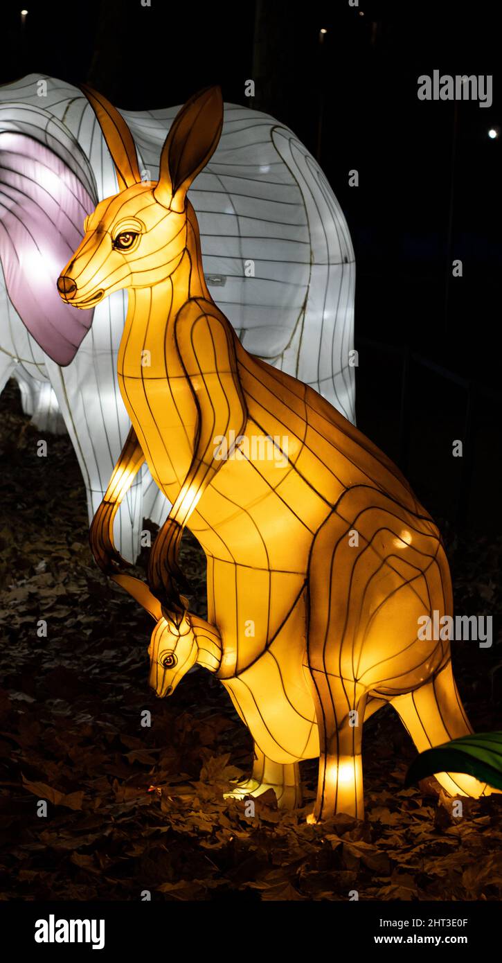 Shot of illuminated kangaroo-shaped lanterns in light festivals on a ...