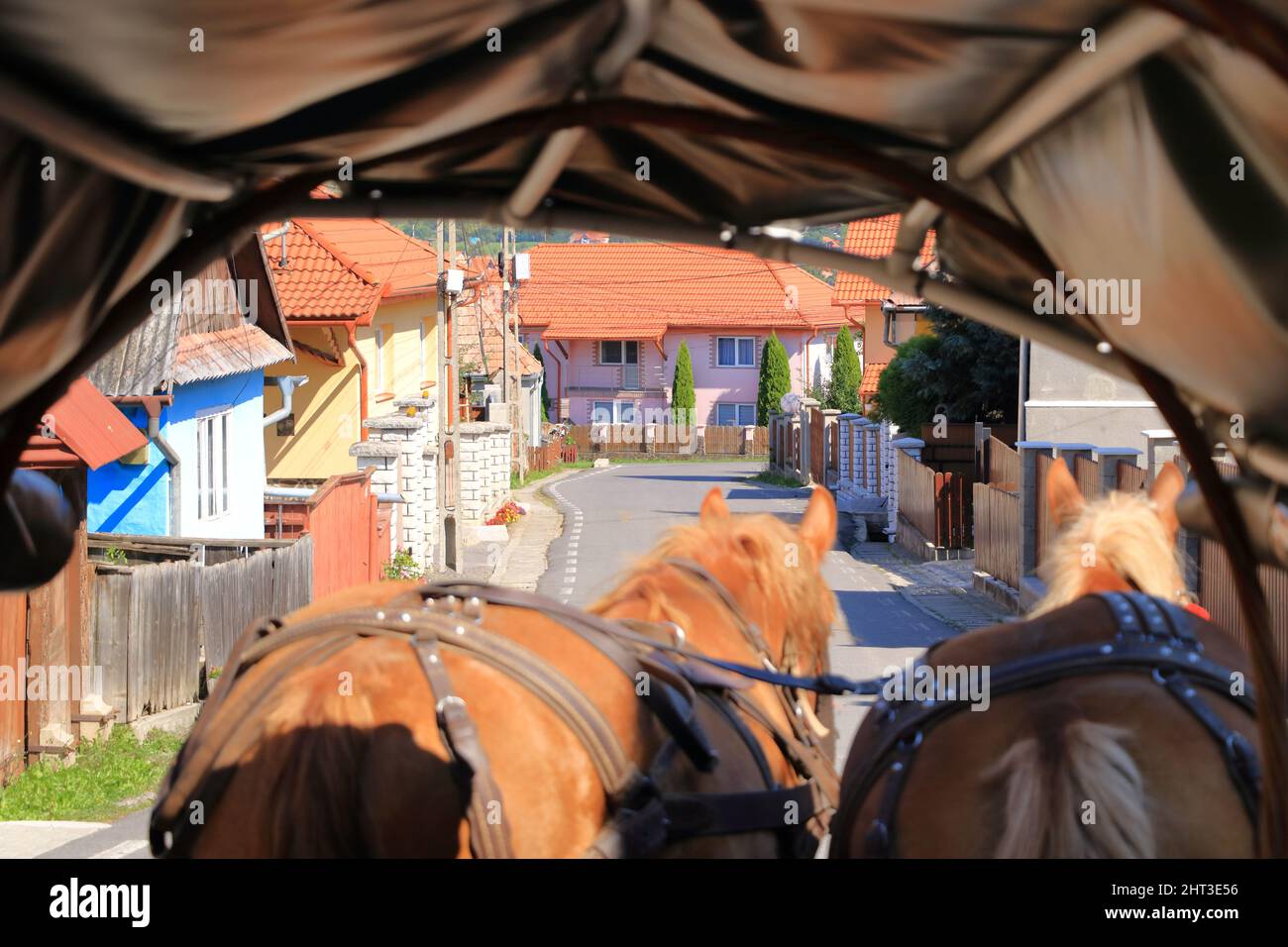 Horse hauls a traditional wooden trailer in the countryside of north ...