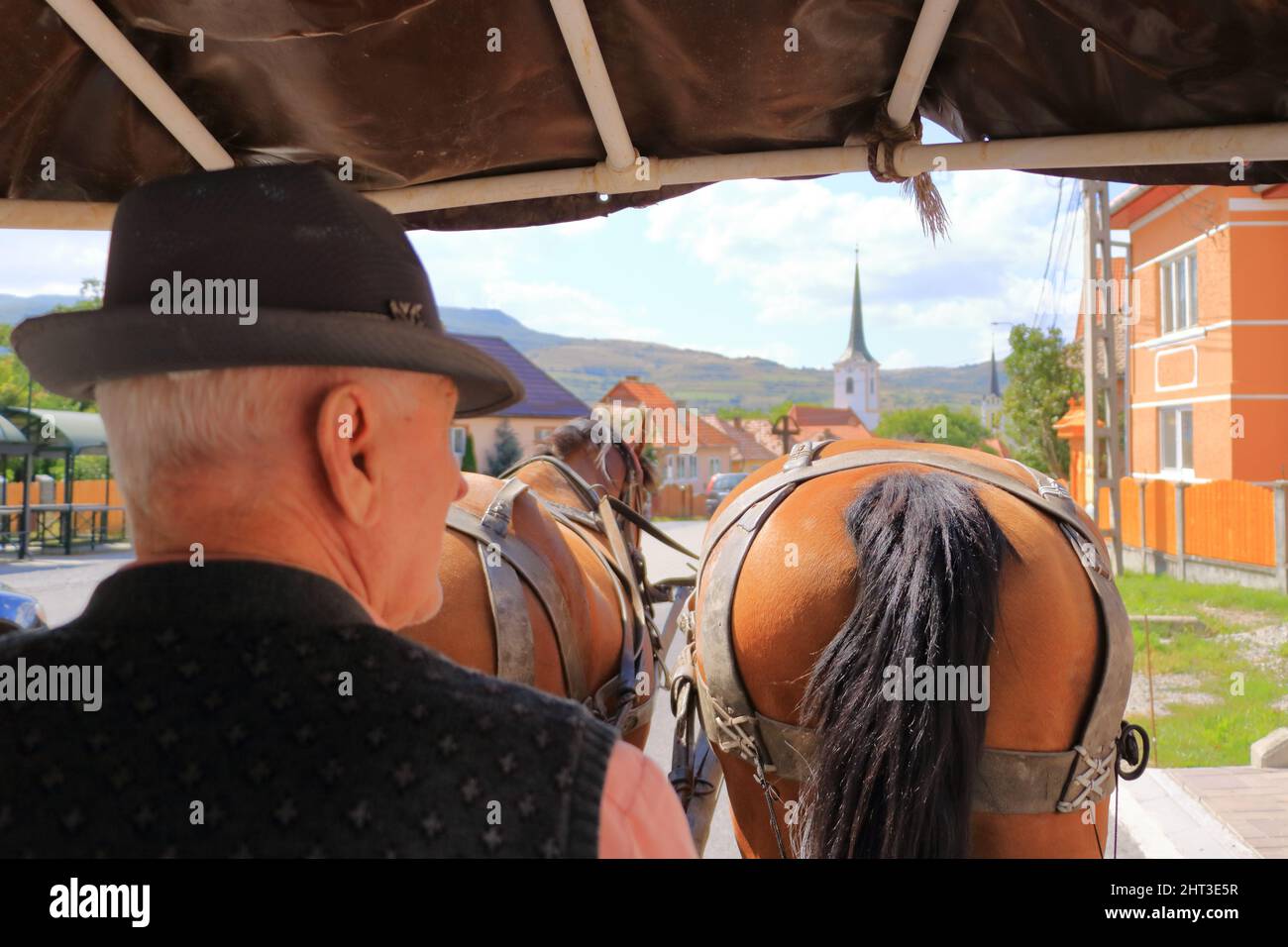 Horse hauls a traditional wooden trailer in the countryside of north ...