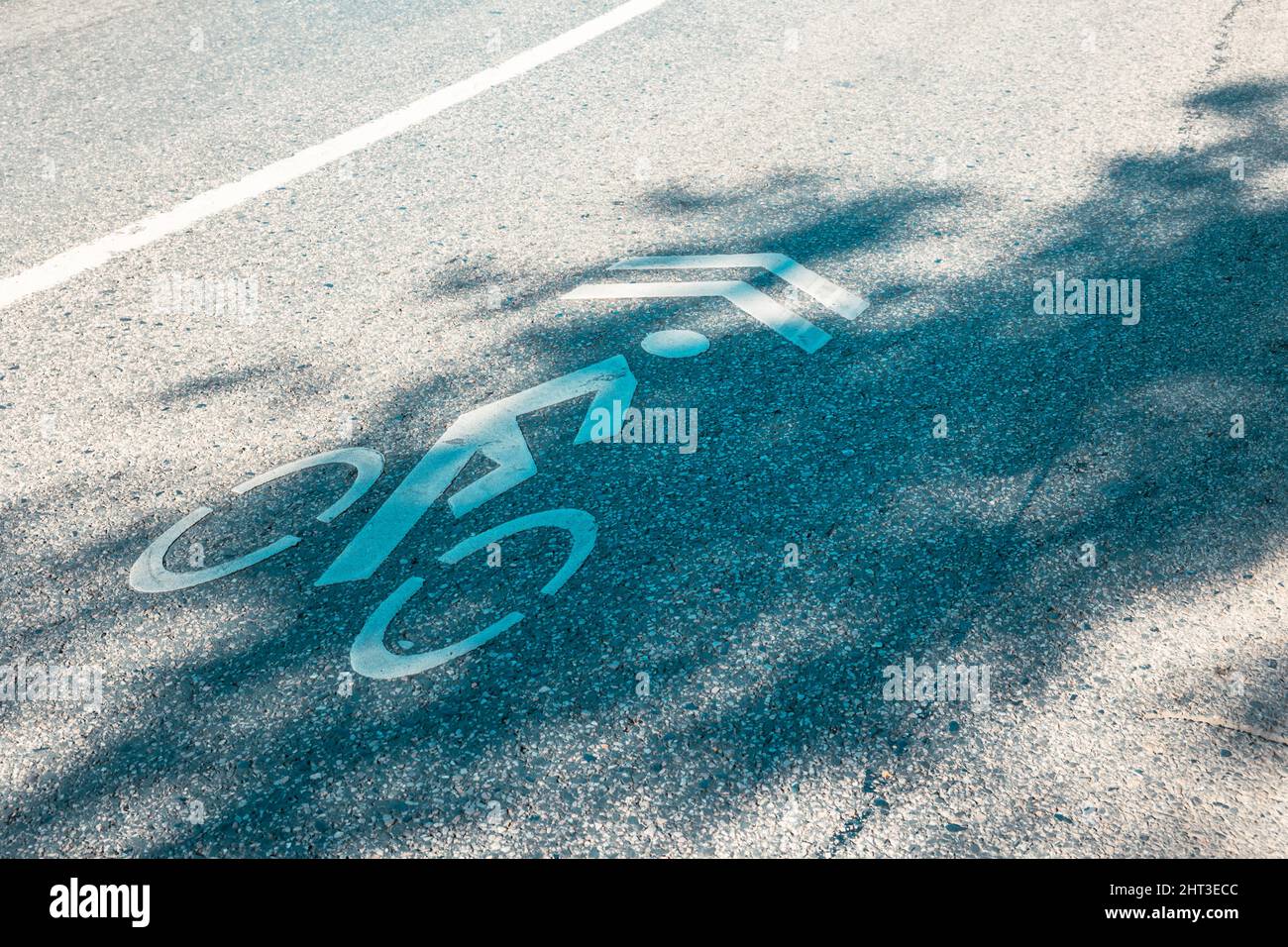 Bicycle road sign. Bike road symbol with arrow on the asphalt Stock ...